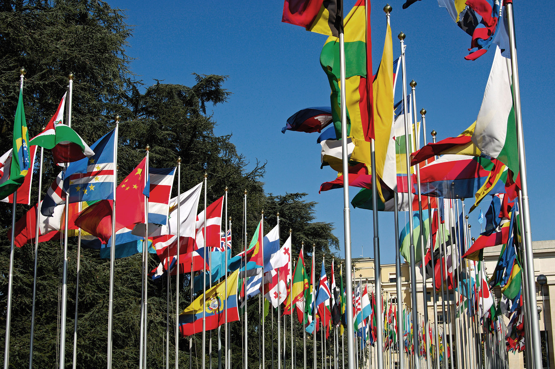 Contact us – Merit Group Limited